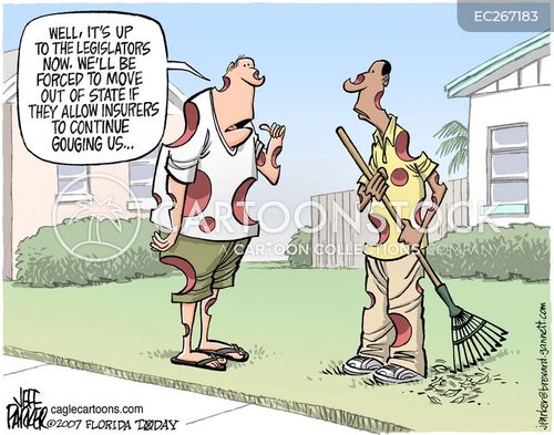 Florida Cartoon