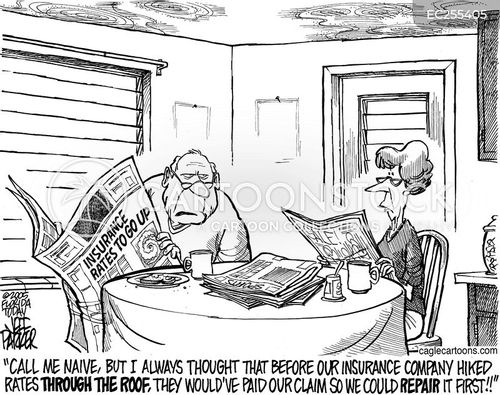 Hurricane Rate Hike Cartoons and Comics - funny pictures from CartoonStock