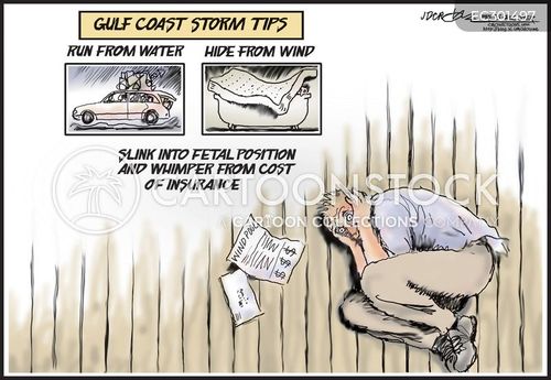 Hurricane Seasons Cartoons and Comics - funny pictures from CartoonStock