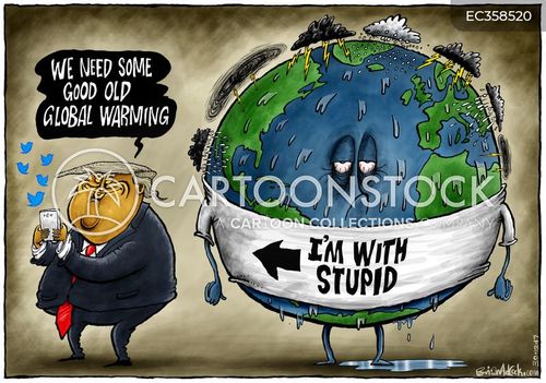 Stupid Display Cartoons and Comics - funny pictures from CartoonStock