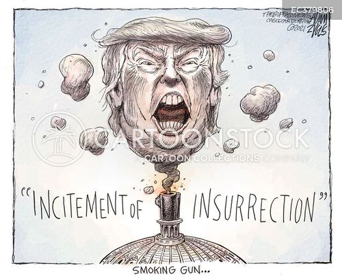 Impeachment 2 Cartoons and Comics - funny pictures from CartoonStock