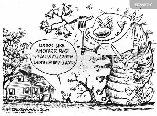 Cartoon Moth Moth Infestation Cartoons And Comics Funny Pictures