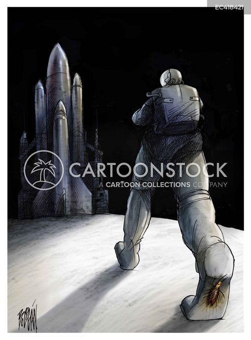 Insectos Cartoons and Comics - funny pictures from CartoonStock