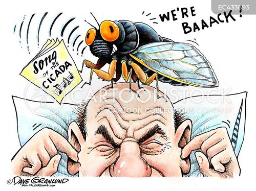 Insect Serenades Cartoons and Comics - funny pictures from CartoonStock