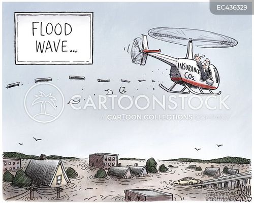 Florida Flooding Cartoons and Comics - funny pictures from CartoonStock