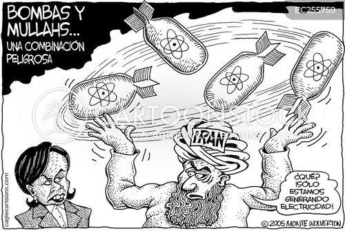 Nuclear Inspections Cartoons and Comics - funny pictures from CartoonStock