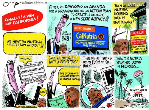 Iterative Design Process Cartoons and Comics - funny pictures from ...