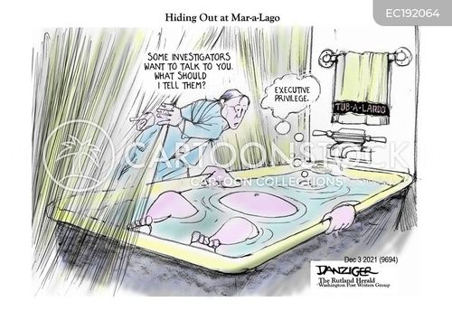 Privilegio Ejecutivo Cartoons and Comics - funny pictures from CartoonStock