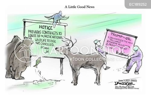 Arctic Preservation Cartoons and Comics - funny pictures from CartoonStock