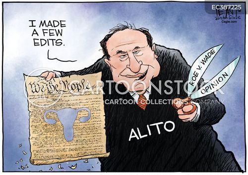 Constitutional Interpretation Cartoons and Comics - funny pictures from ...