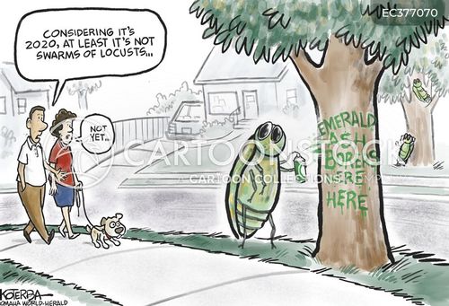 Insect Biology Cartoons and Comics - funny pictures from CartoonStock