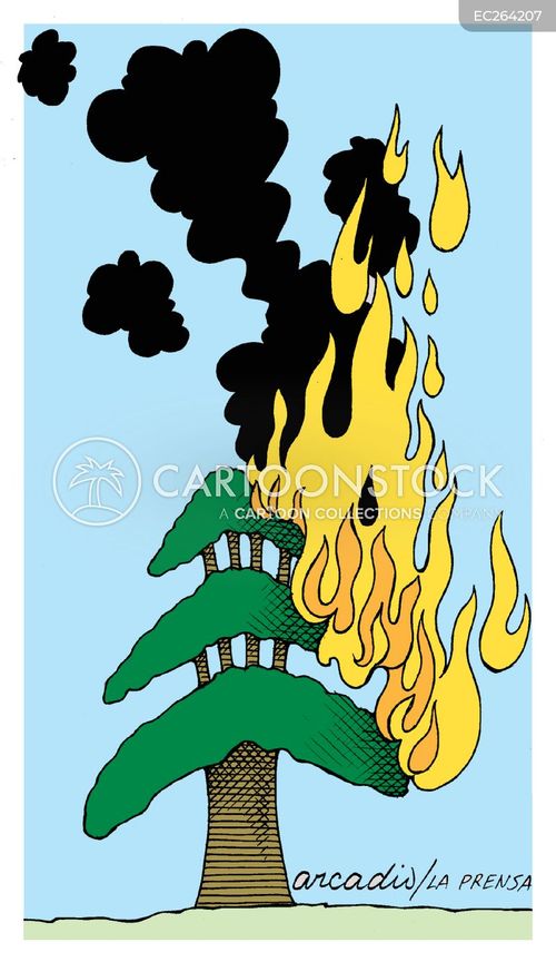 Cedar Tree Cartoons and Comics - funny pictures from CartoonStock