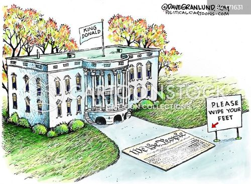 Us Constitutional Law Cartoons and Comics - funny pictures from ...