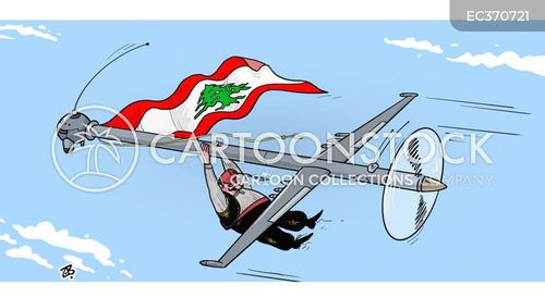 Airspace Control Cartoons and Comics - funny pictures from CartoonStock