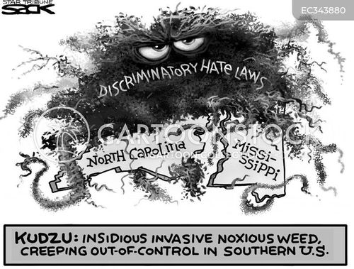 Lgbtq+ Visibility Cartoons and Comics - funny pictures from CartoonStock