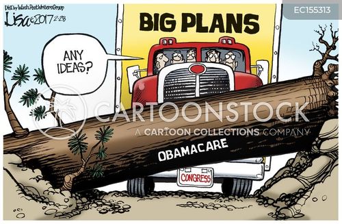 Big Plans Cartoons and Comics - funny pictures from CartoonStock