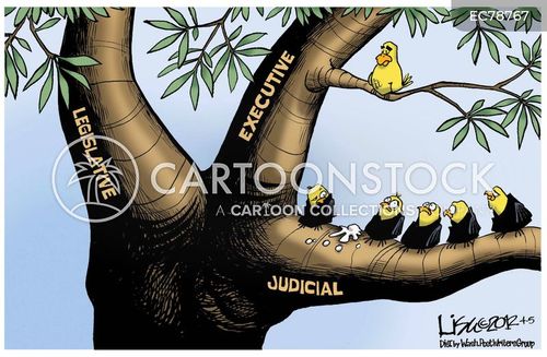 Court Hierarchy Cartoons and Comics - funny pictures from CartoonStock