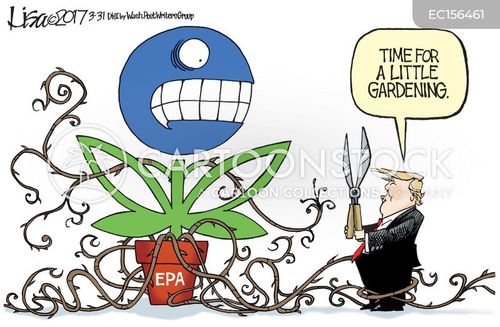 Epa Funding Cartoons and Comics - funny pictures from CartoonStock