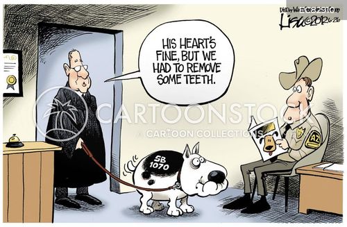 Dog Rule Cartoons and Comics - funny pictures from CartoonStock