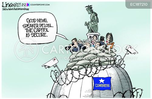 Capitol Security Cartoons and Comics - funny pictures from CartoonStock