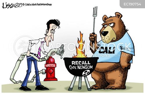 Gubernatorial Recall Cartoons and Comics - funny pictures from CartoonStock