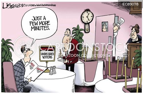 Undecided Voters Cartoons and Comics - funny pictures from CartoonStock