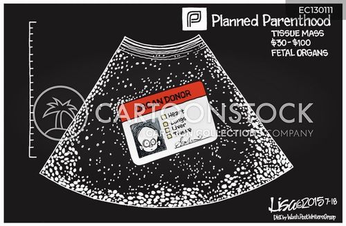 Fetal Tissue Cartoons and Comics - funny pictures from CartoonStock