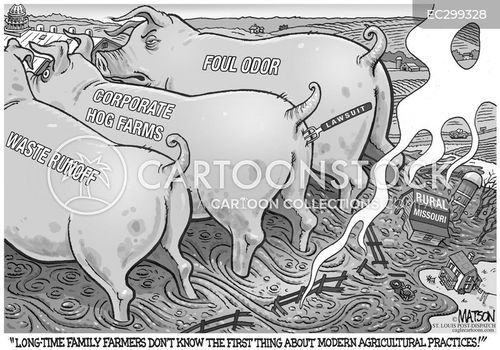 Hog Farms Cartoons and Comics - funny pictures from CartoonStock