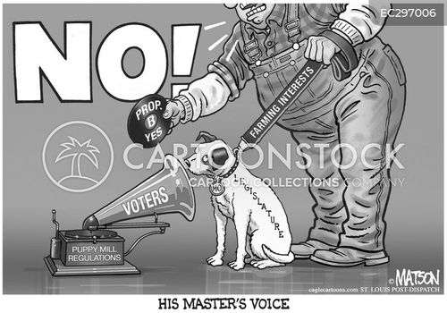 State Referendum Cartoons and Comics - funny pictures from CartoonStock