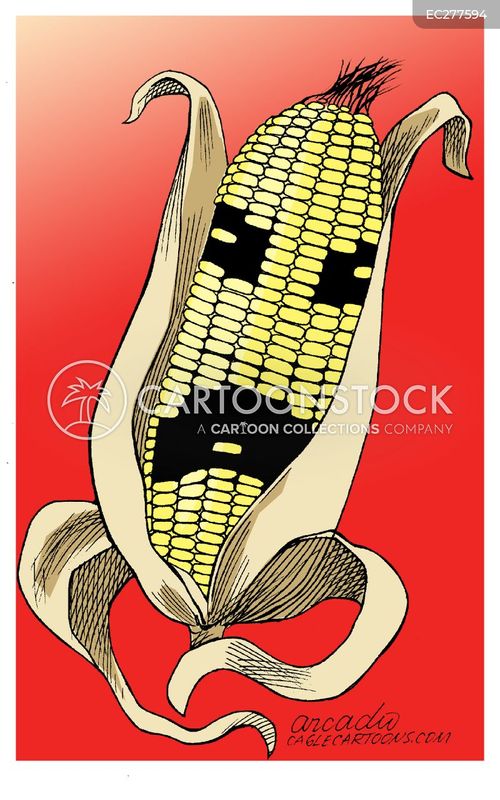 Corn Cultivation Cartoons and Comics - funny pictures from CartoonStock