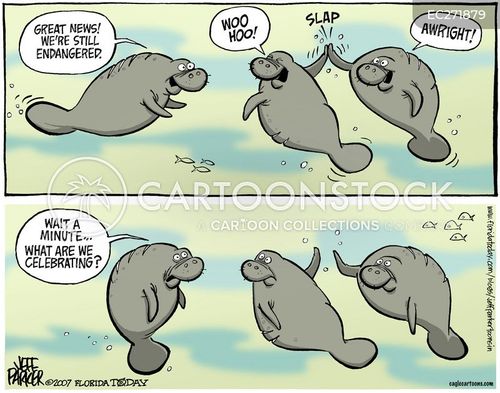 Manatee Sanctuary Cartoons and Comics - funny pictures from CartoonStock