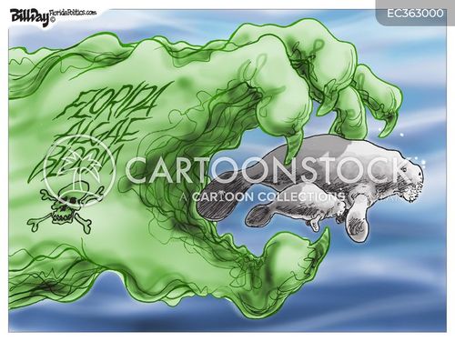 Algae Cartoons and Comics - funny pictures from CartoonStock