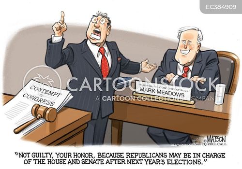 2020 Riot Cartoons and Comics - funny pictures from CartoonStock