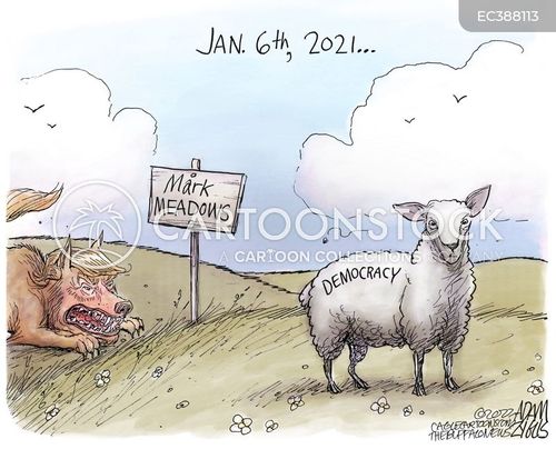 Mark Meadows Cartoons and Comics - funny pictures from CartoonStock