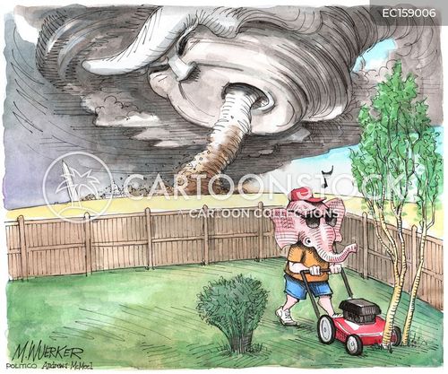 Lawn Destruction Cartoons and Comics - funny pictures from CartoonStock