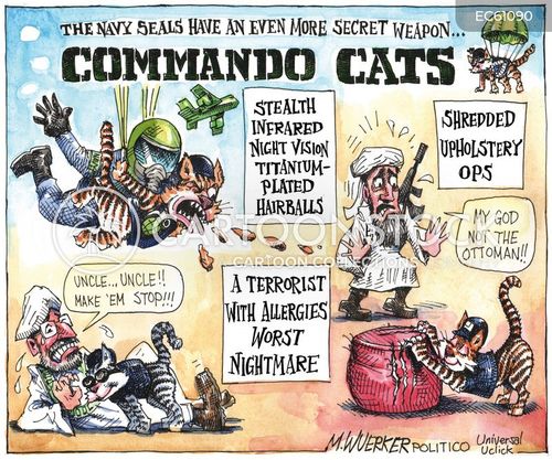 Commandoes Cartoons and Comics - funny pictures from CartoonStock