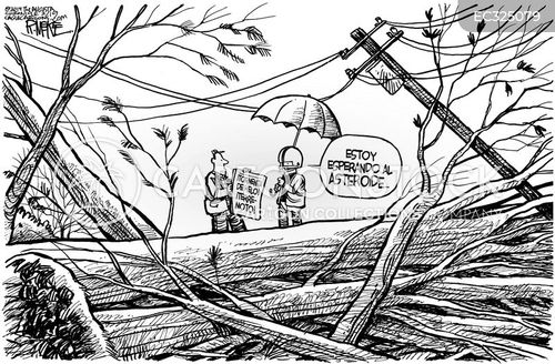 Clima Severo Cartoons and Comics - funny pictures from CartoonStock