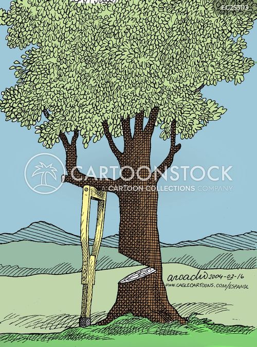 Forest Resilience Cartoons and Comics - funny pictures from CartoonStock