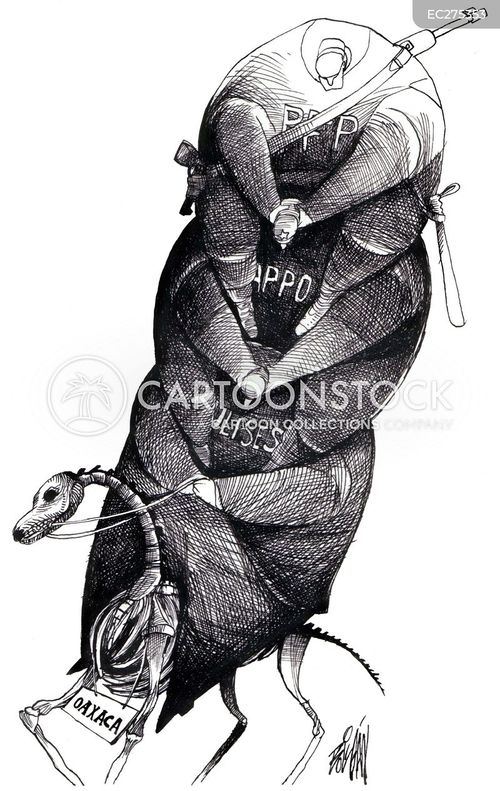 Government Turmoil Cartoons and Comics - funny pictures from CartoonStock