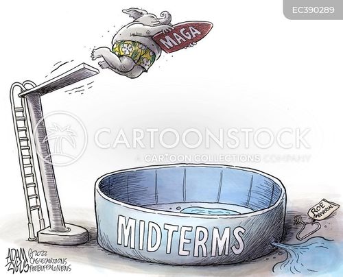 Midterms 2022 Cartoons and Comics - funny pictures from CartoonStock
