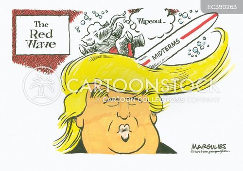 Big Election Cartoons and Comics - funny pictures from CartoonStock