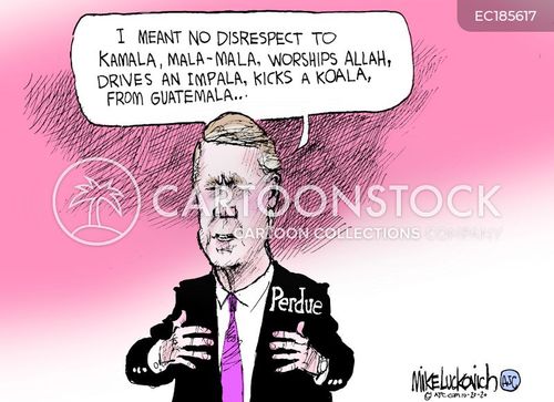 Mock Elections Cartoons and Comics - funny pictures from CartoonStock