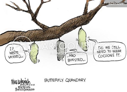Quandary Cartoons and Comics - funny pictures from CartoonStock