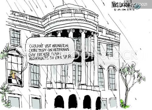 Veteran Politicians Cartoons and Comics - funny pictures from CartoonStock