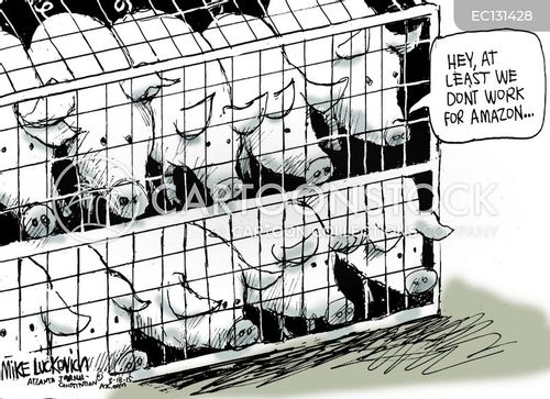 Online Retail Culture Cartoons and Comics - funny pictures from ...