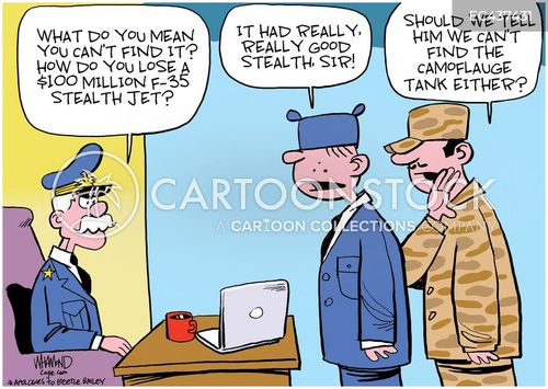 Missing F-35 Stealth Fighter Jet Cartoons and Comics - funny pictures ...
