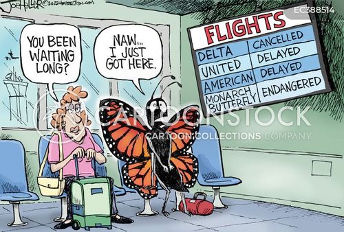 Airport Wildlife Management Cartoons and Comics - funny pictures from ...