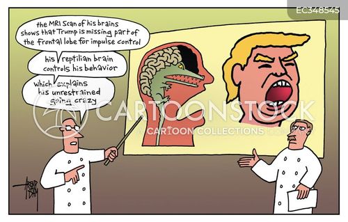 Irrational Behavior Cartoons and Comics - funny pictures from CartoonStock