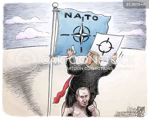 Nato Partners Cartoons and Comics - funny pictures from CartoonStock