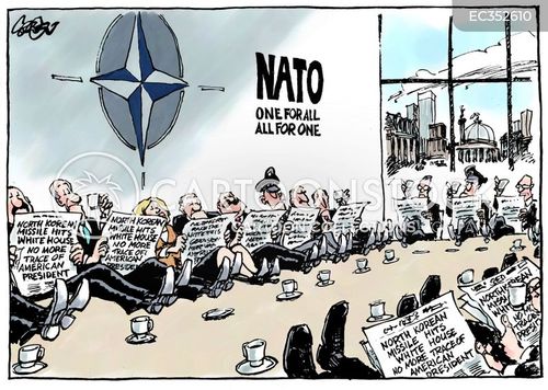 Nato Partners Cartoons and Comics - funny pictures from CartoonStock